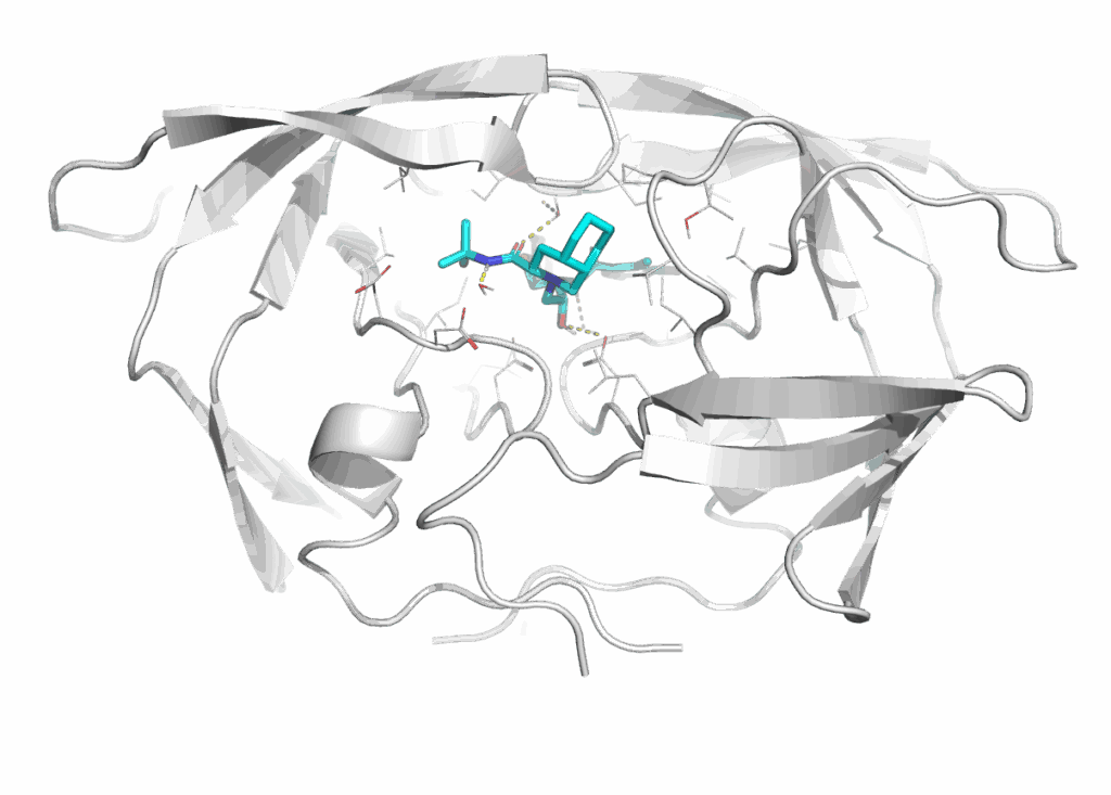 Resonate Bio – Drugging dynamic disease-causing proteins